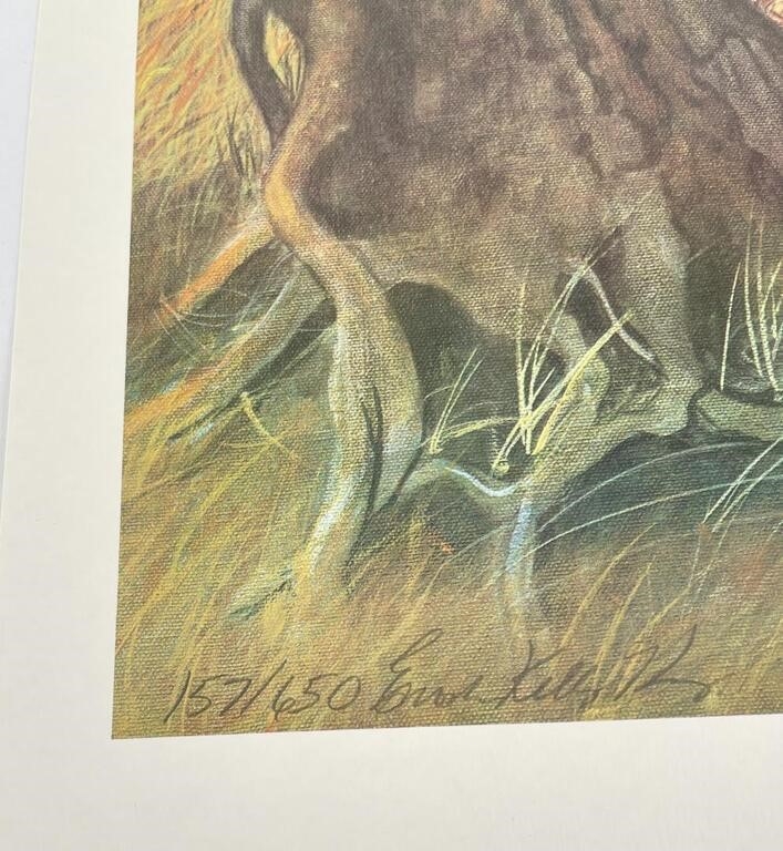 Enoch Kelly‏ Haney | Enoch Kelly Haney Owl Transformation Print | MutualArt