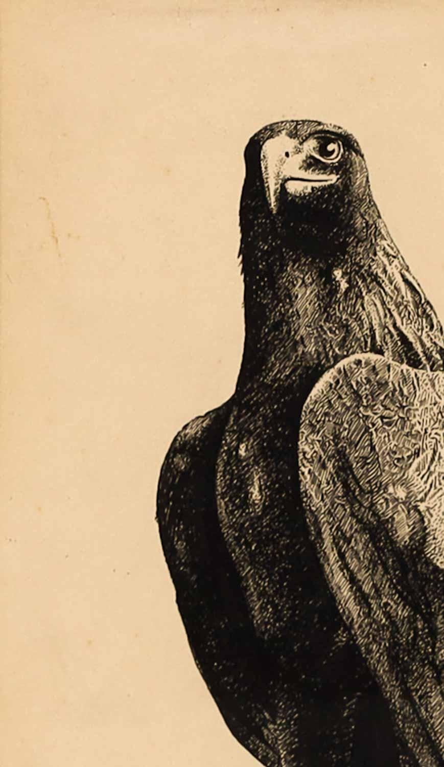Rod Scott | Eagle (1965) | MutualArt
