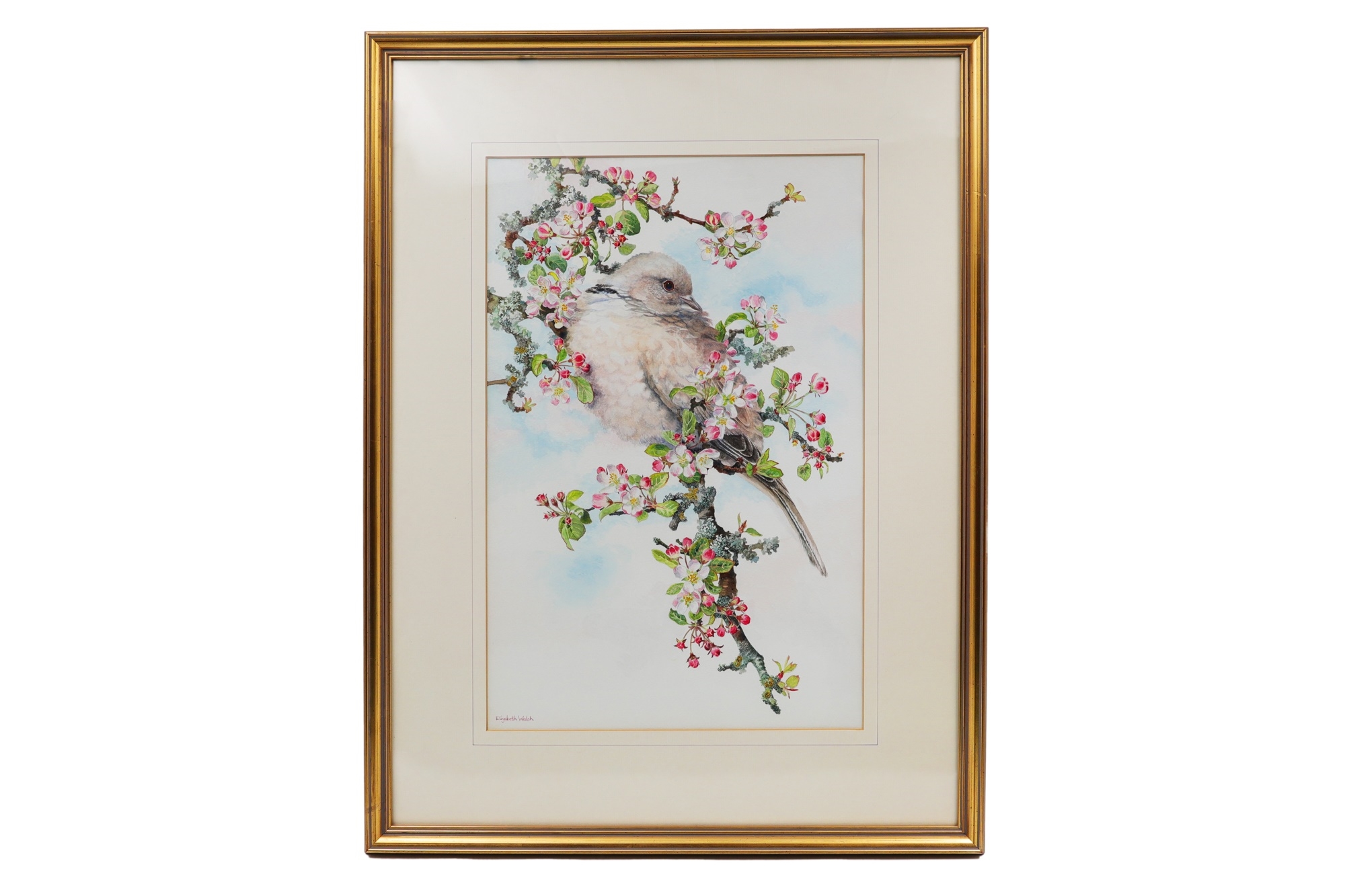 Elizabeth Walsh | Turtle Dove | MutualArt