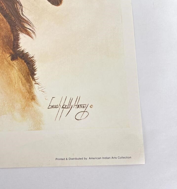 Enoch Kelly‏ Haney | Enoch Kelly Haney Hawk Warrior Print | MutualArt