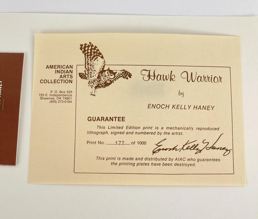 Enoch Kelly‏ Haney | Enoch Kelly Haney Hawk Warrior Print | MutualArt