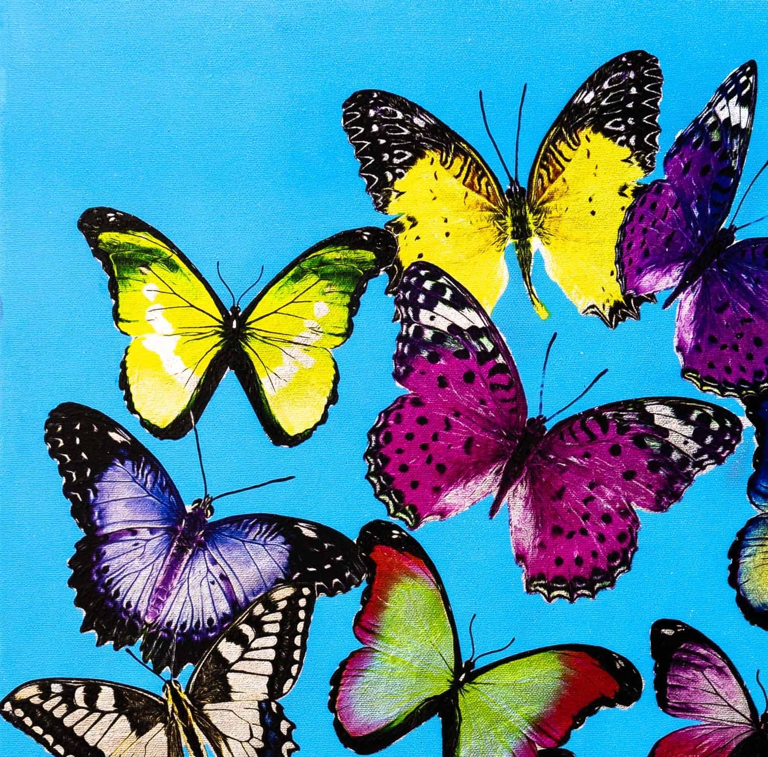 JOSE HARO | Butterflies | MutualArt