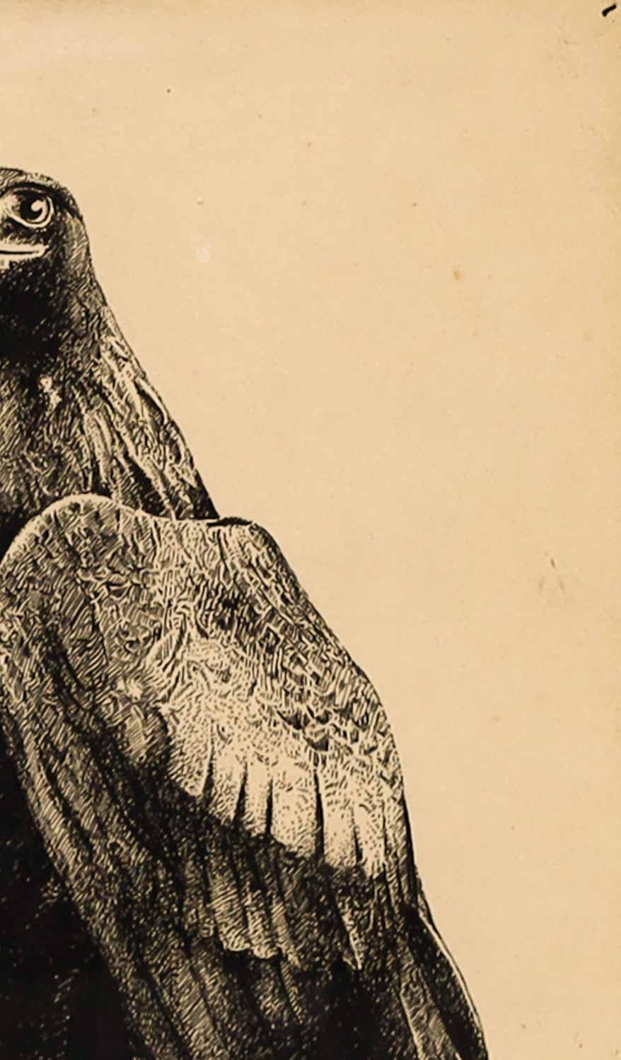 Rod Scott | Eagle (1965) | MutualArt