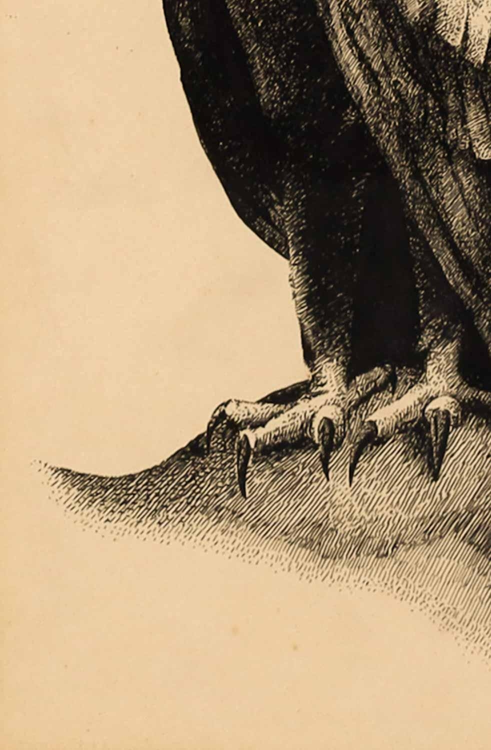 Rod Scott | Eagle (1965) | MutualArt