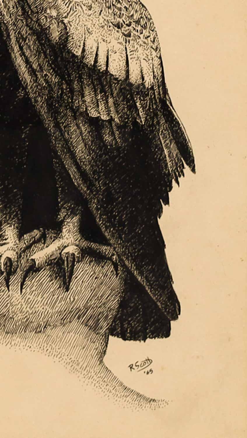 Rod Scott | Eagle (1965) | MutualArt