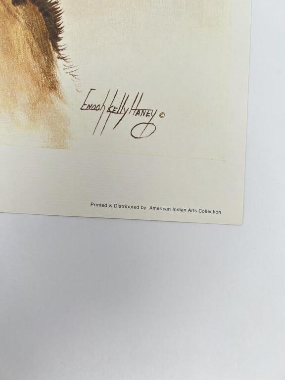 Enoch Kelly‏ Haney | Enoch Kelly Haney Hawk Warrior Print | MutualArt