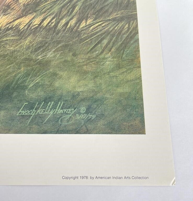 Enoch Kelly‏ Haney | Enoch Kelly Haney Owl Transformation Print | MutualArt