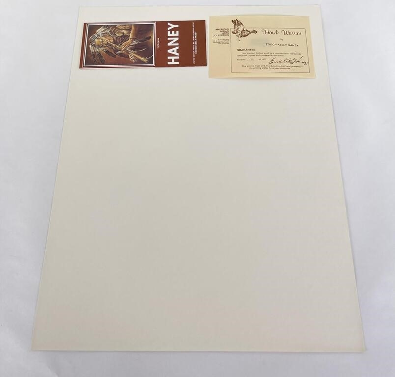 Enoch Kelly‏ Haney | Enoch Kelly Haney Hawk Warrior Print | MutualArt