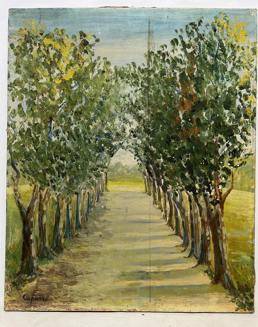 Enrique Castells Capurro | Sendero | MutualArt