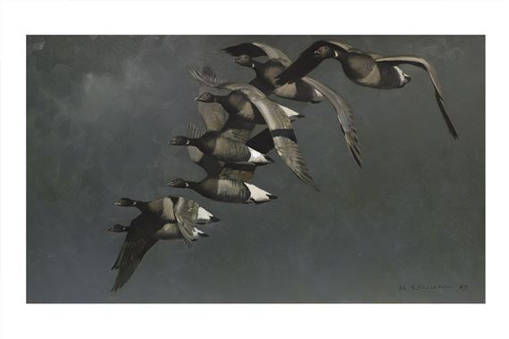 Keith Shackleton | Brent Geese in Flight | MutualArt