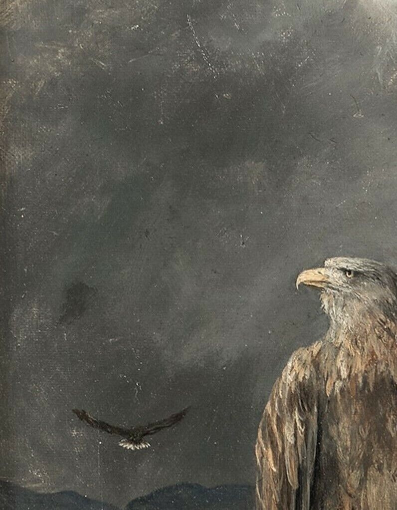 James Faed Sr. | PORTRAIT OF A WHITE TAILED SEA EAGLE OIL PAINTING ...