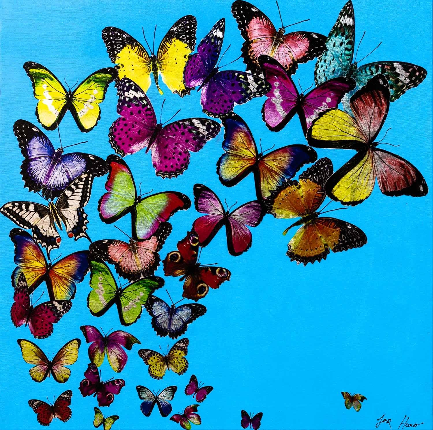 JOSE HARO | Butterflies | MutualArt