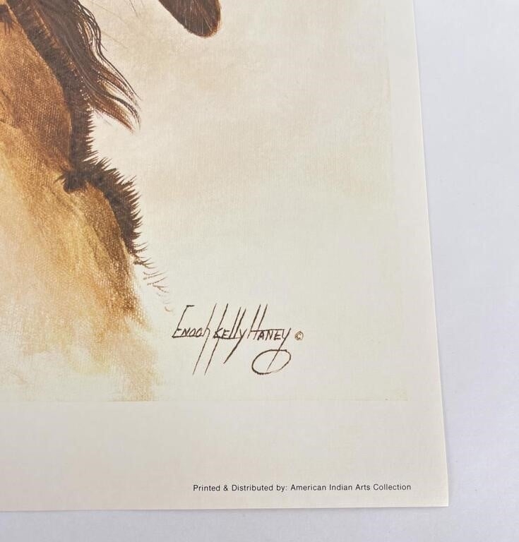 Enoch Kelly‏ Haney | Enoch Kelly Haney Hawk Warrior Print | MutualArt