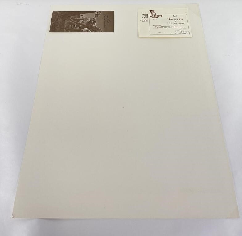 Enoch Kelly‏ Haney | Enoch Kelly Haney Owl Transformation Print | MutualArt