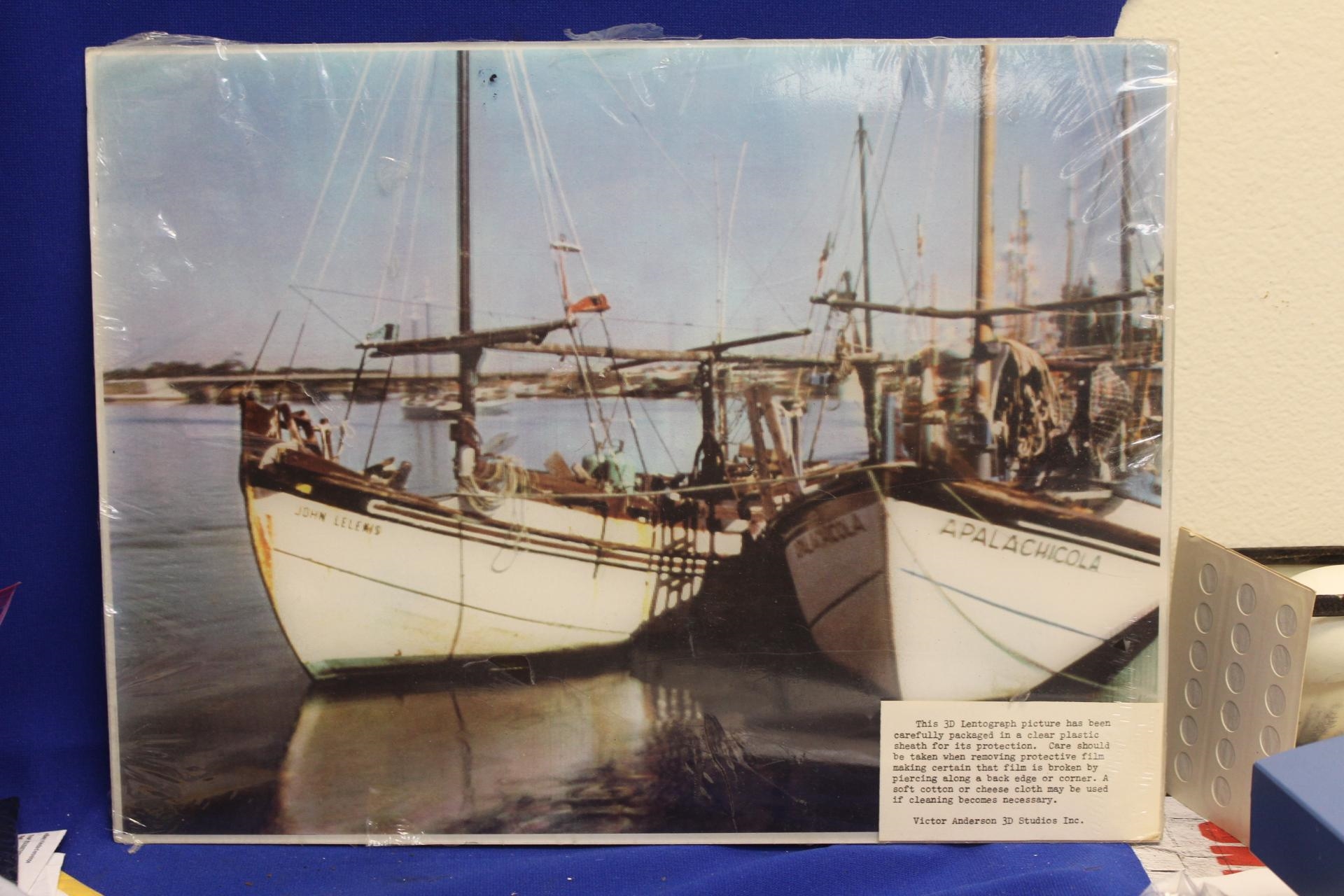 Victor Coleman Anderson | 3D Victor Anderson Lentograph Picture | MutualArt