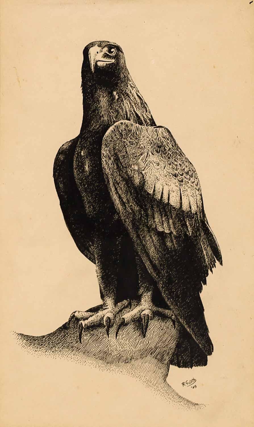Rod Scott | Eagle (1965) | MutualArt
