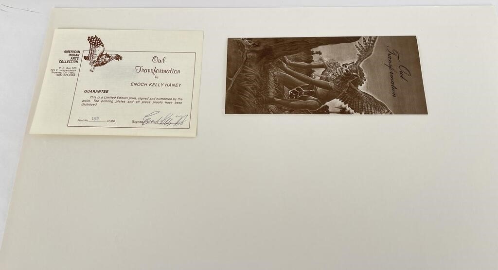 Enoch Kelly‏ Haney | Enoch Kelly Haney Owl Transformation Print | MutualArt
