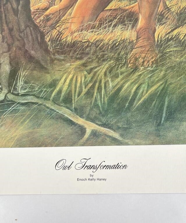 Enoch Kelly‏ Haney | Enoch Kelly Haney Owl Transformation Print | MutualArt