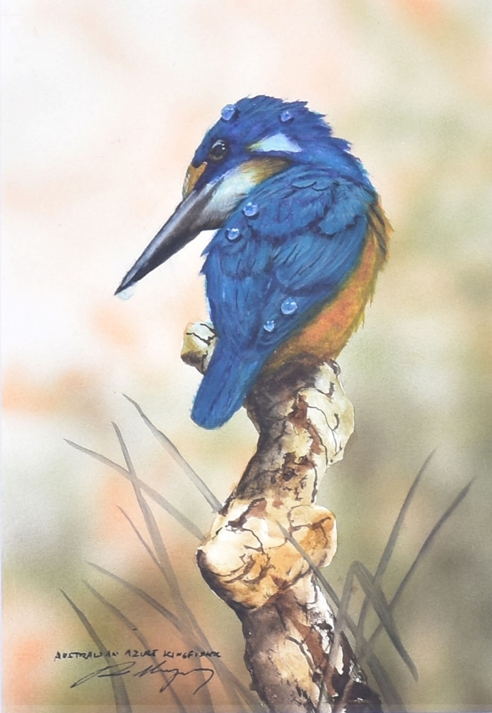 Paul Margocsy | Australian Azure Kingfisher | MutualArt