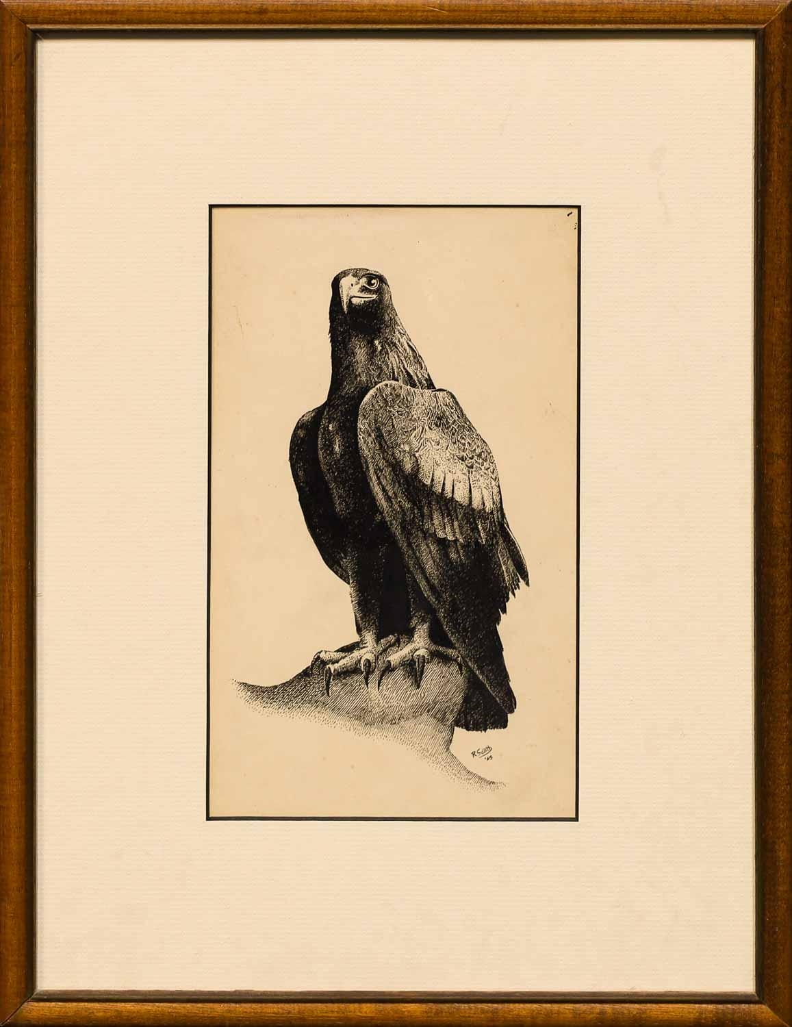 Rod Scott | Eagle (1965) | MutualArt
