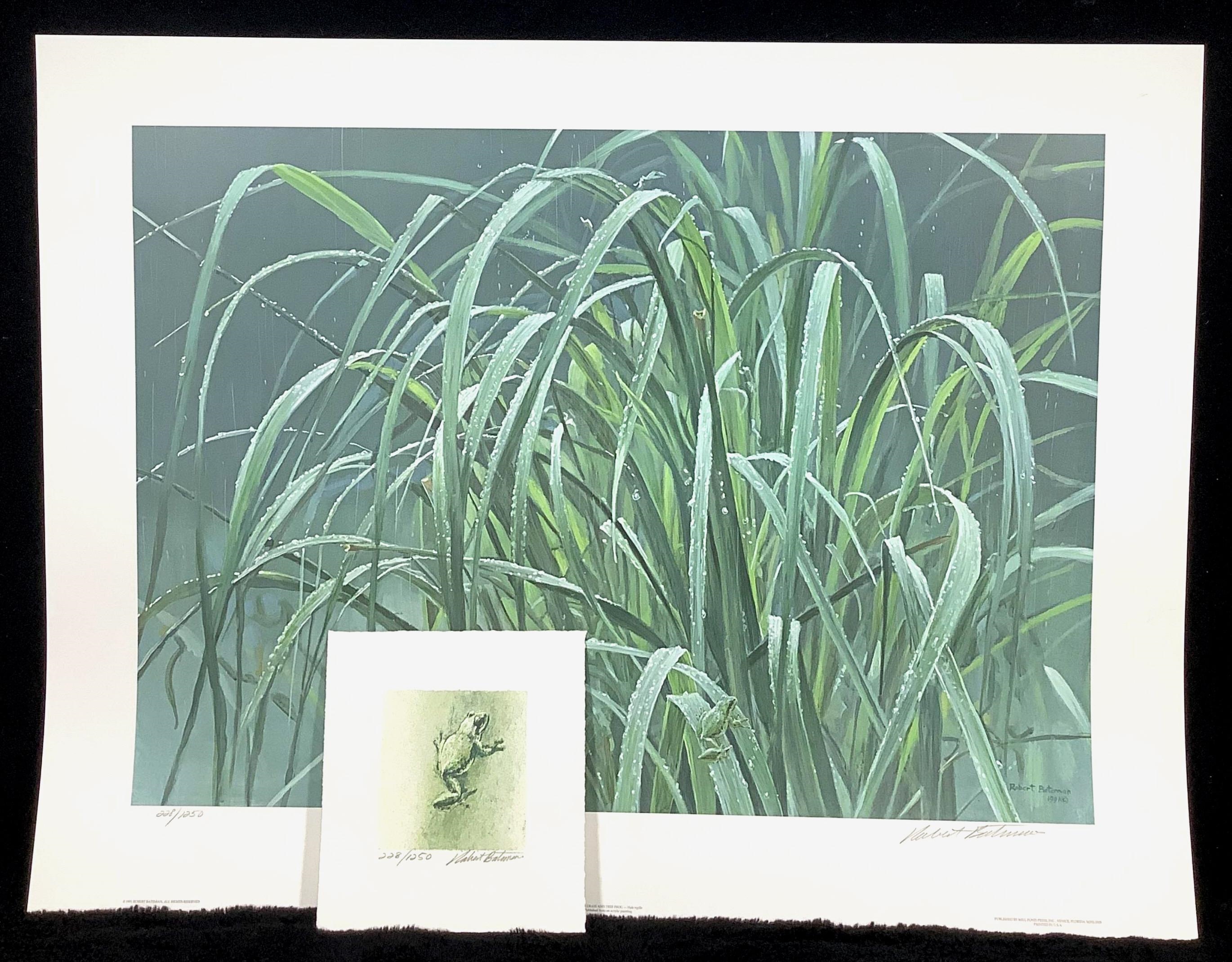 Robert Bateman | Beach Grass & Tree Frog | MutualArt