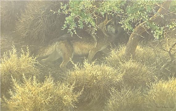 Robert Bateman | Sierra Evening-Mexican Wolf | MutualArt