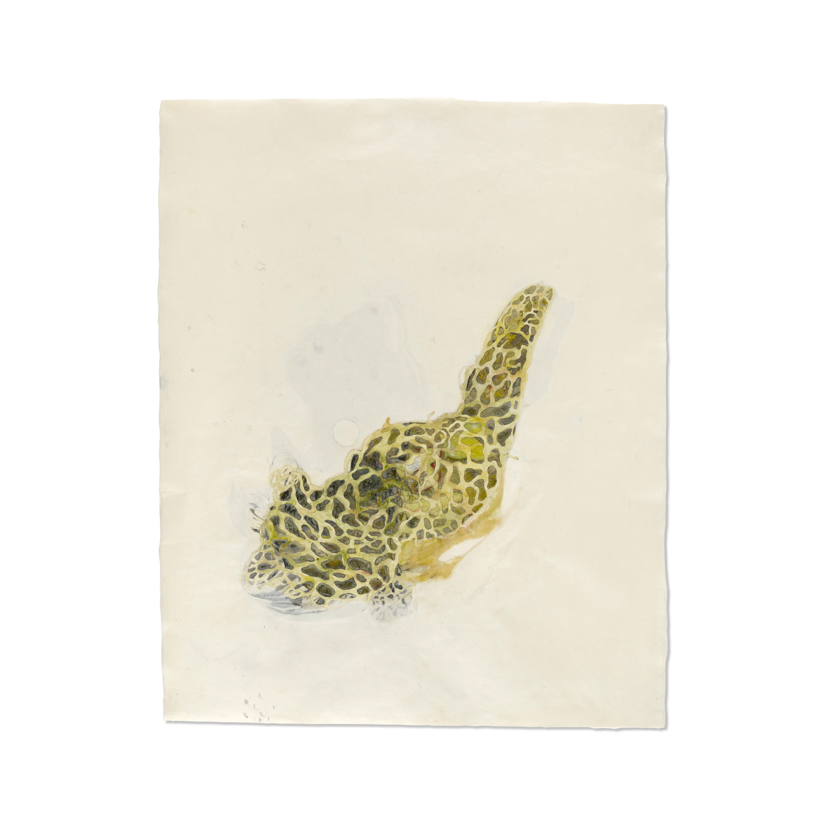 Ellen Gallagher | SOMA | MutualArt