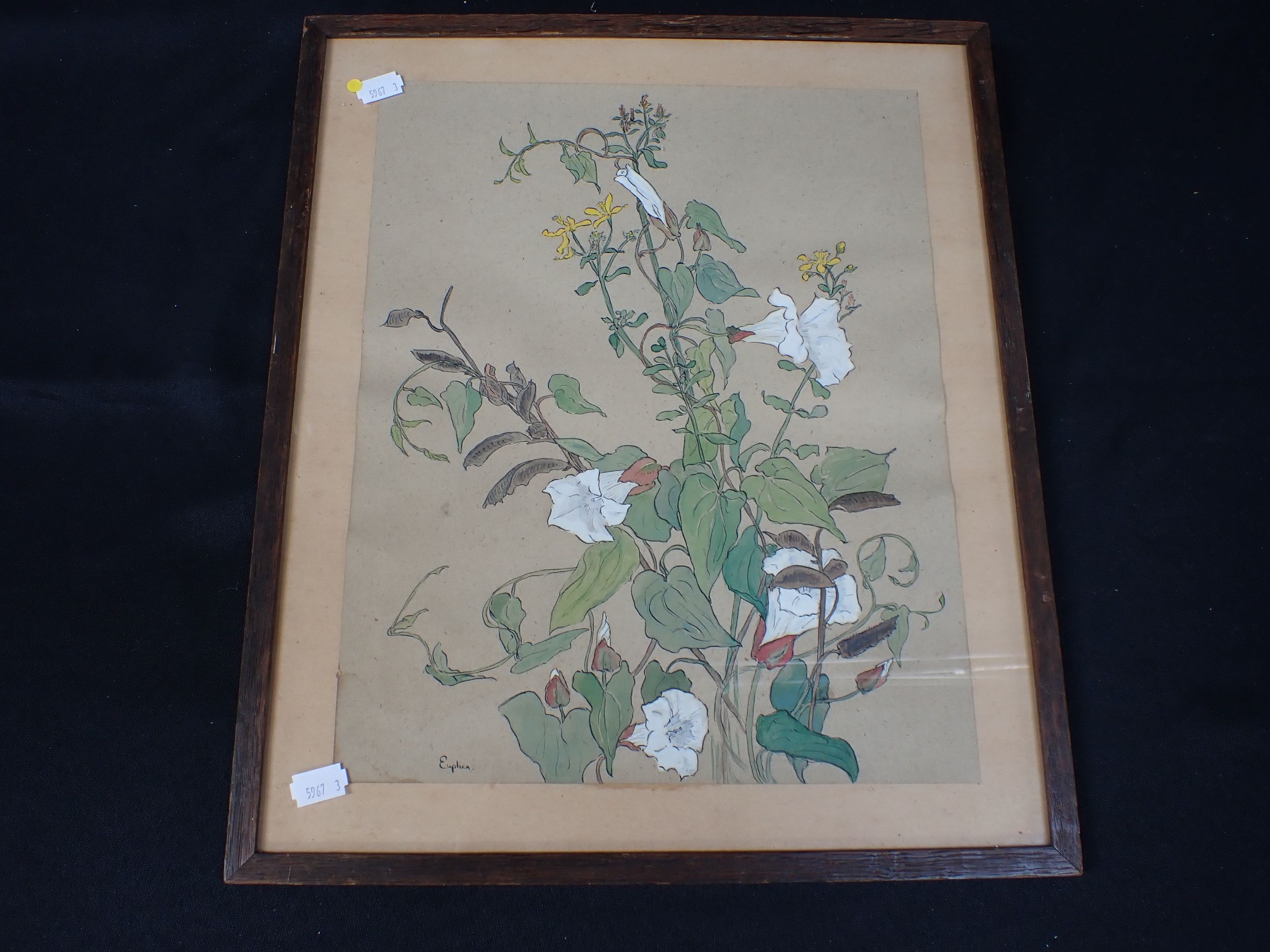 Euphen Alexander | : 'THE TWINING BINDWEED' | MutualArt