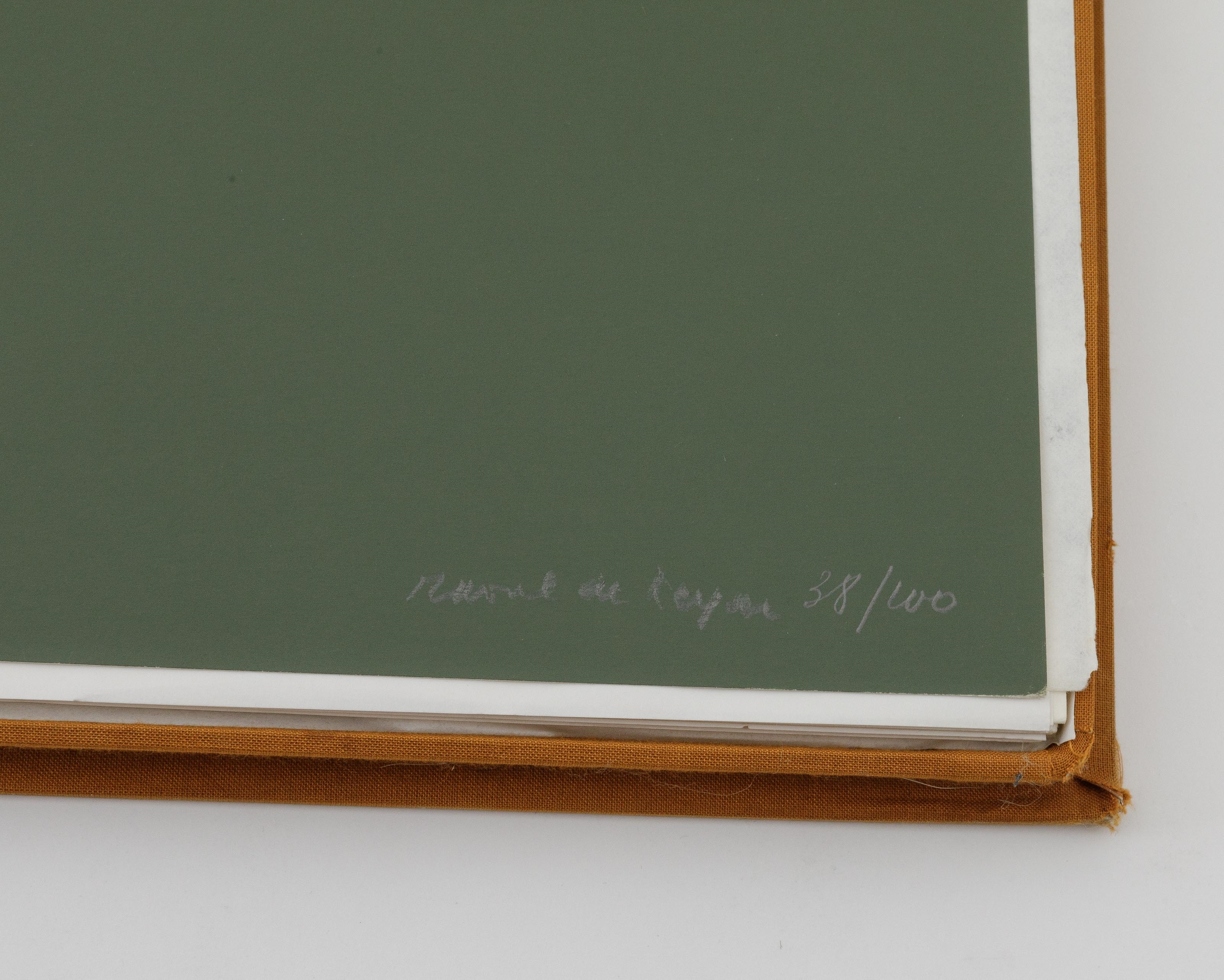 Raoul de Keyser | Kleurenzeefdruk | MutualArt