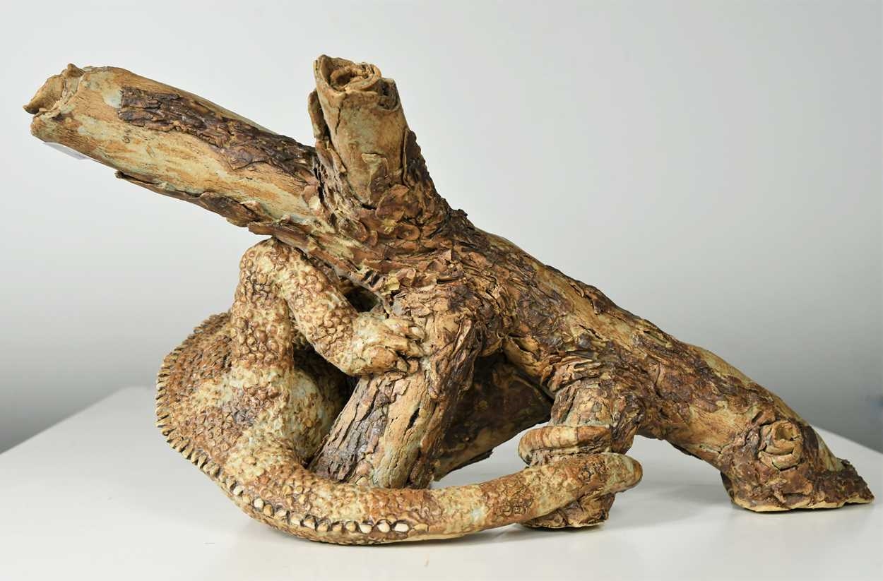 David Cooke | a ceramic sculpture of a chameleon on a branch (1996 ...