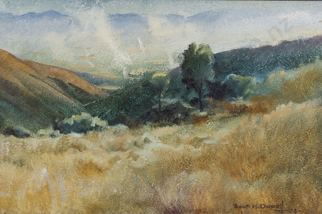 Robert McDowell | Morning Mist from Kennedy's Bush I | MutualArt