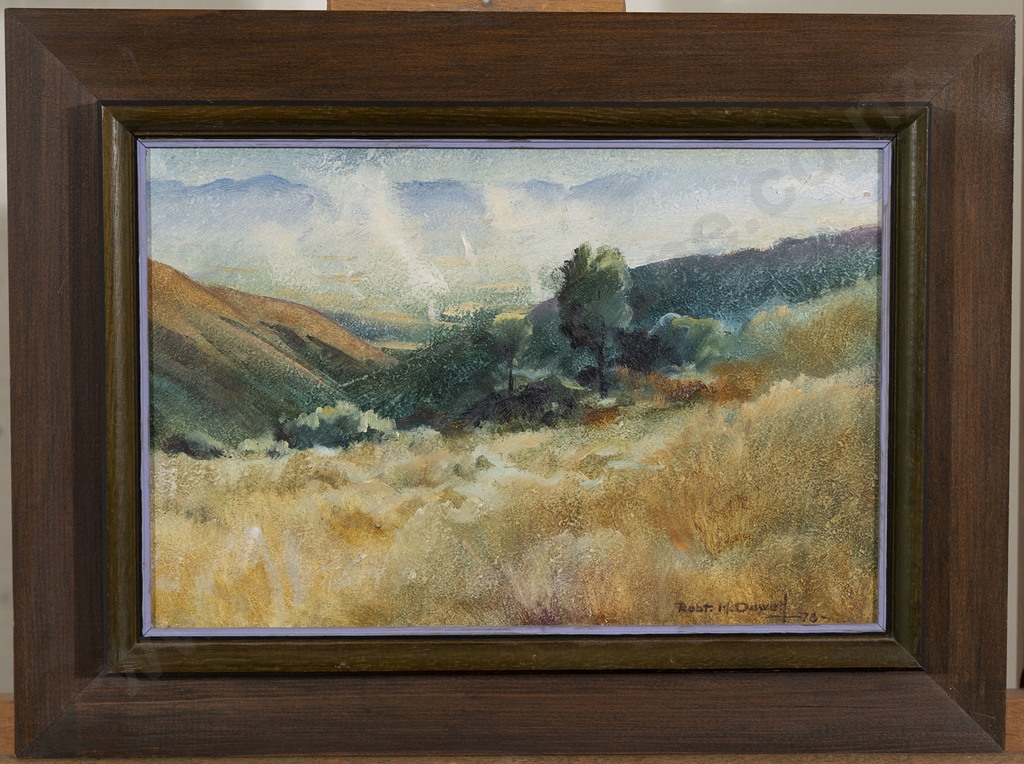 Robert McDowell | Morning Mist from Kennedy's Bush I | MutualArt