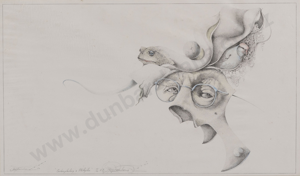 Robert Franken | Contemplating a Metaphor | MutualArt