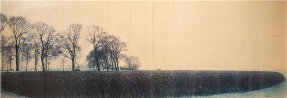 Jan Koster | Jan Koster (1959) | MutualArt