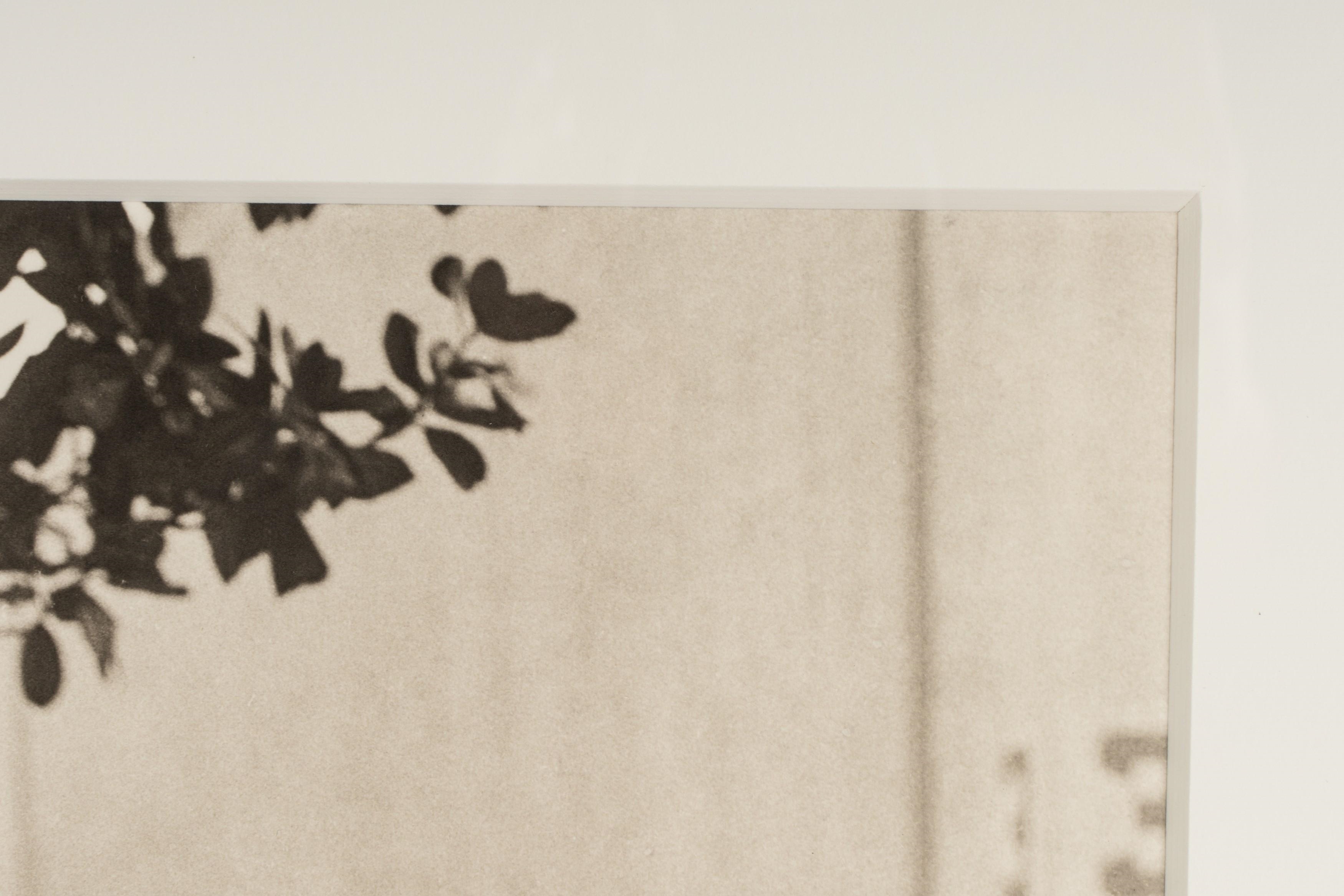 Sid Avery | Audrey Hepburn on Her Bike with her Dog Famous at Paramount Studios (1957) | MutualArt