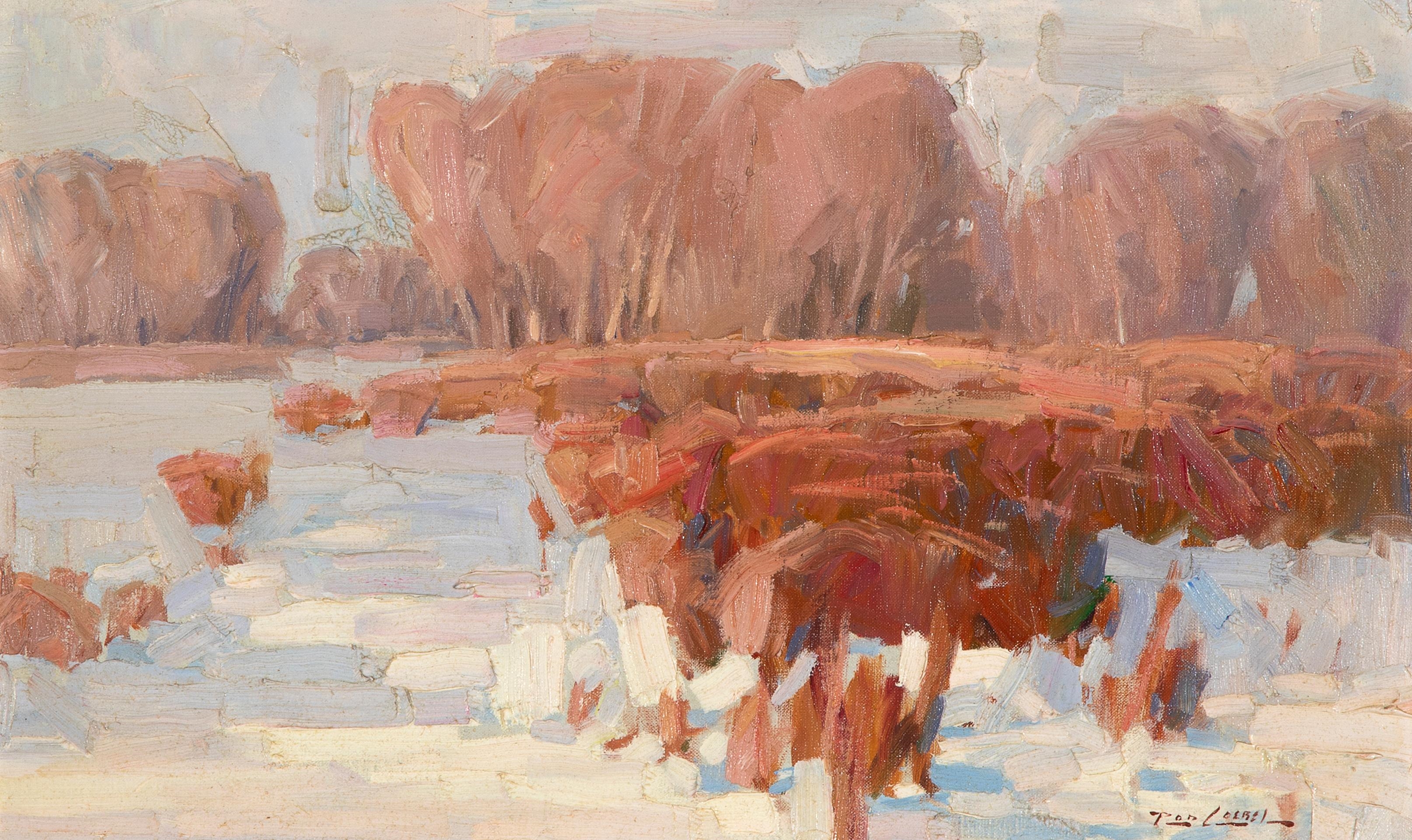 Rod Goebel | Taos Snow Patterns | MutualArt