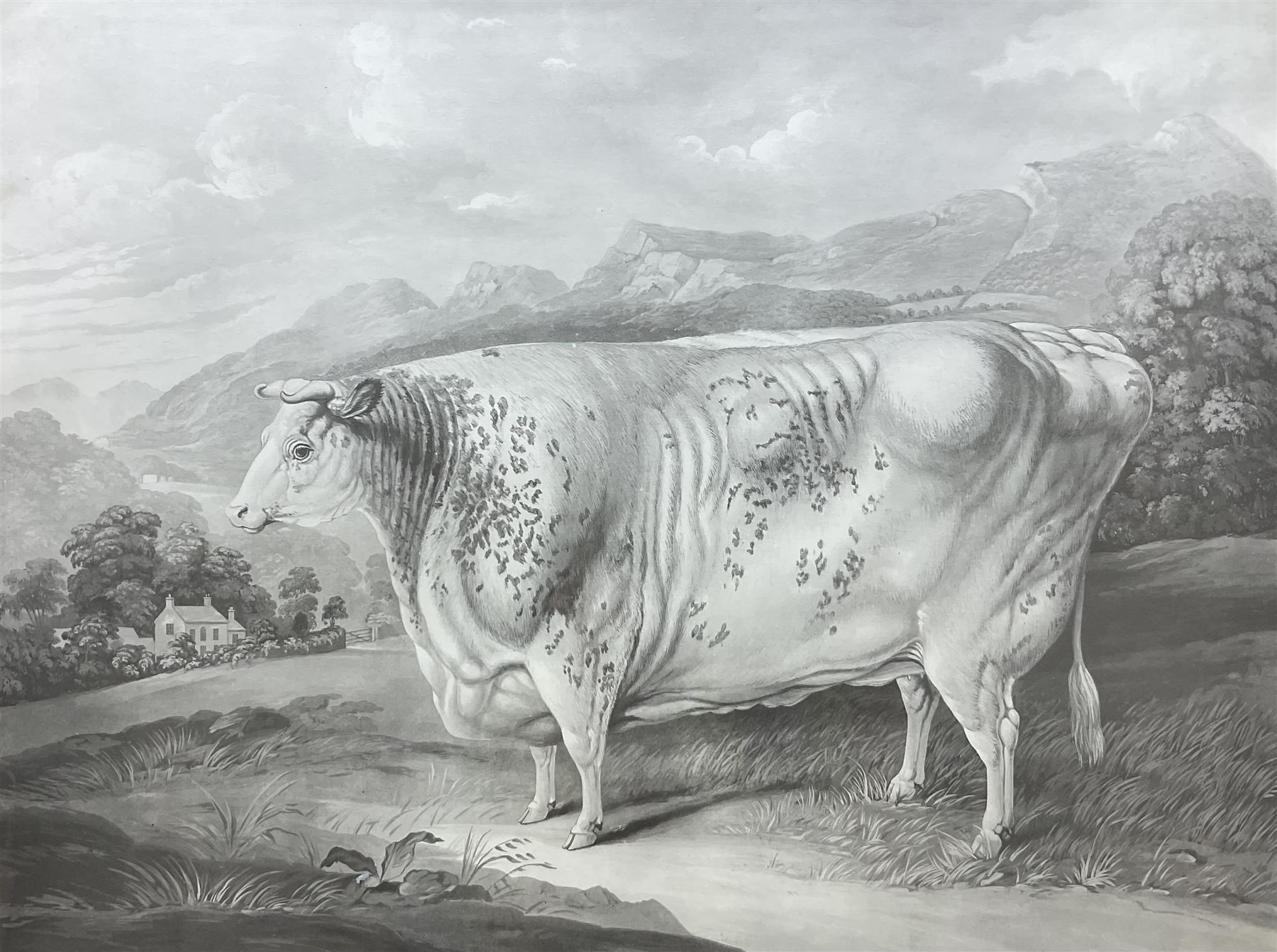 George Christopher Horner | The Yorkshire Rose' Portrait of a Prize ...