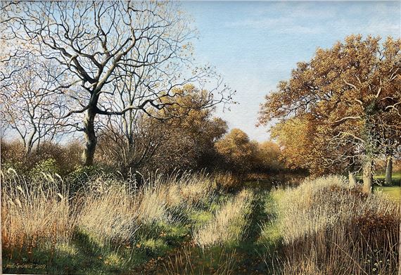 Neil Spilman | Inner Moor Lane - Hemingbrough (2009) | MutualArt