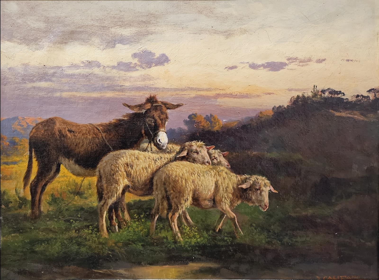 John Califano | Animali al tramonto | MutualArt