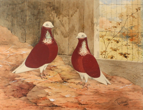 Joseph Williamson Ludlow | Zwei Tauben (1908) | MutualArt