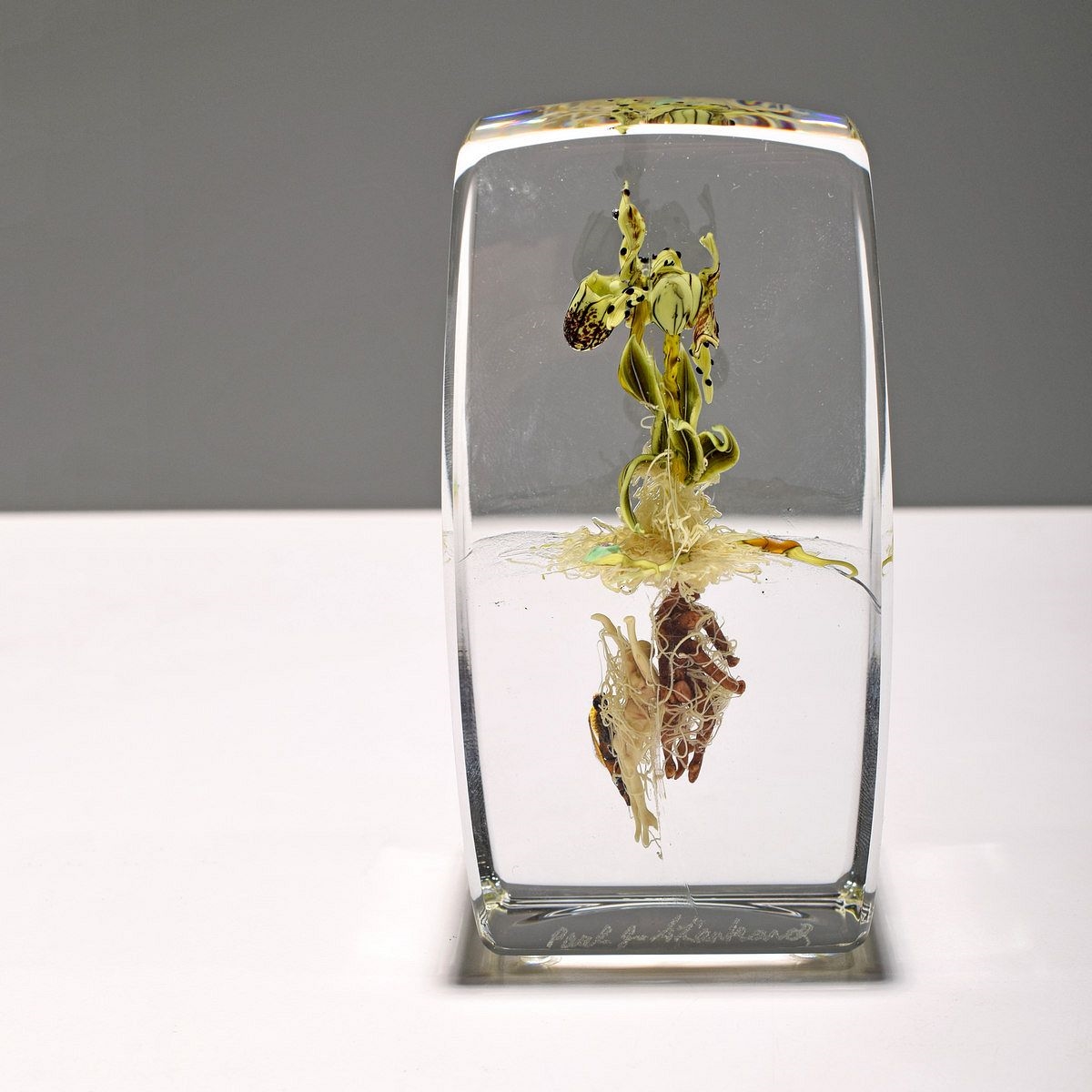 Paul Stankard | Botanical / Root People Upright Paperweight | MutualArt