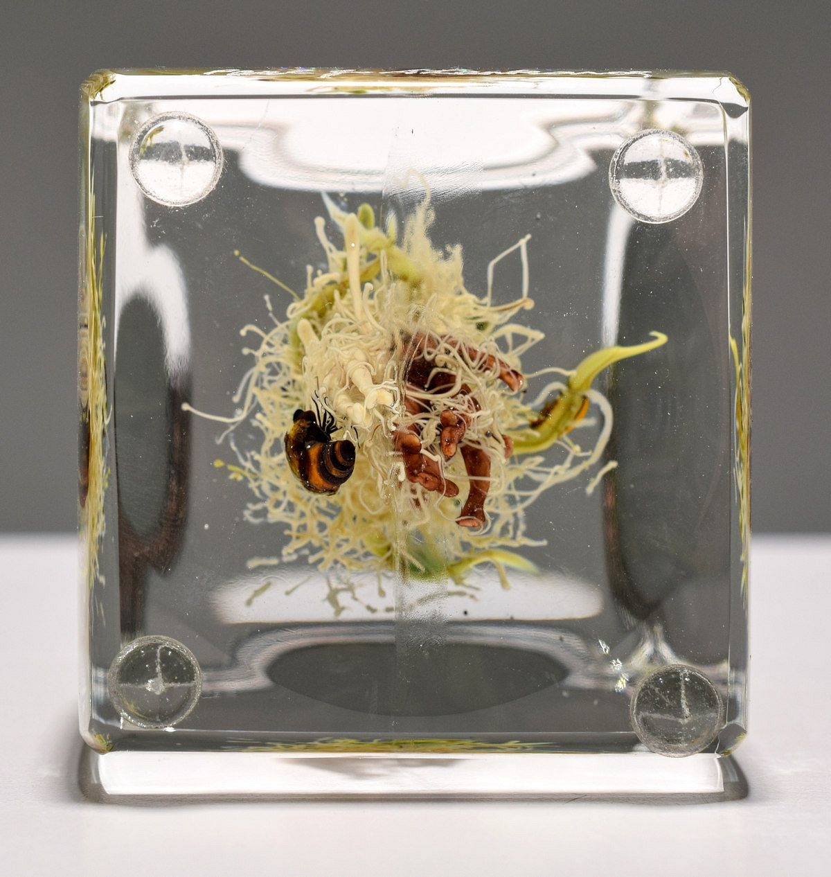 Paul Stankard | Botanical / Root People Upright Paperweight | MutualArt