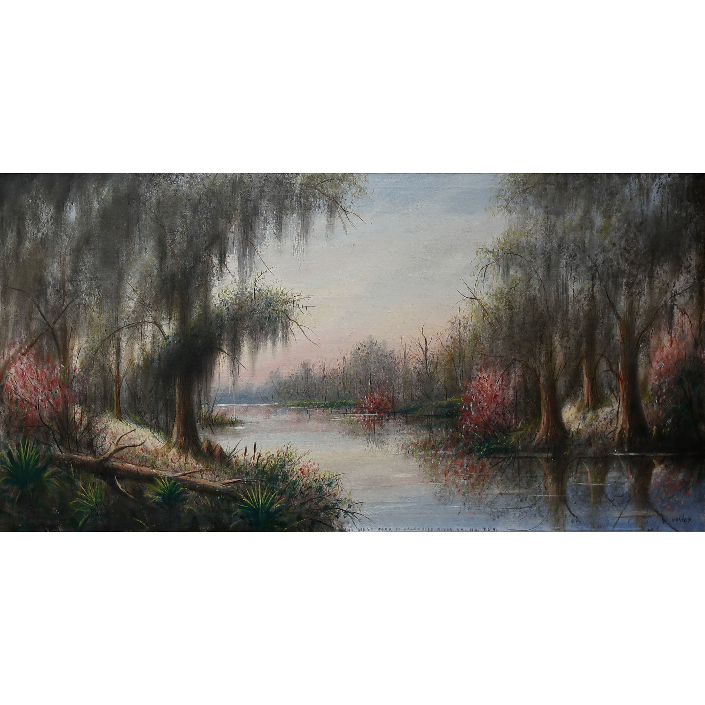 Will Ousley | THE WEST FORK OF CALCASIEU RIVER, S.W. - LA, NO, 754 ...