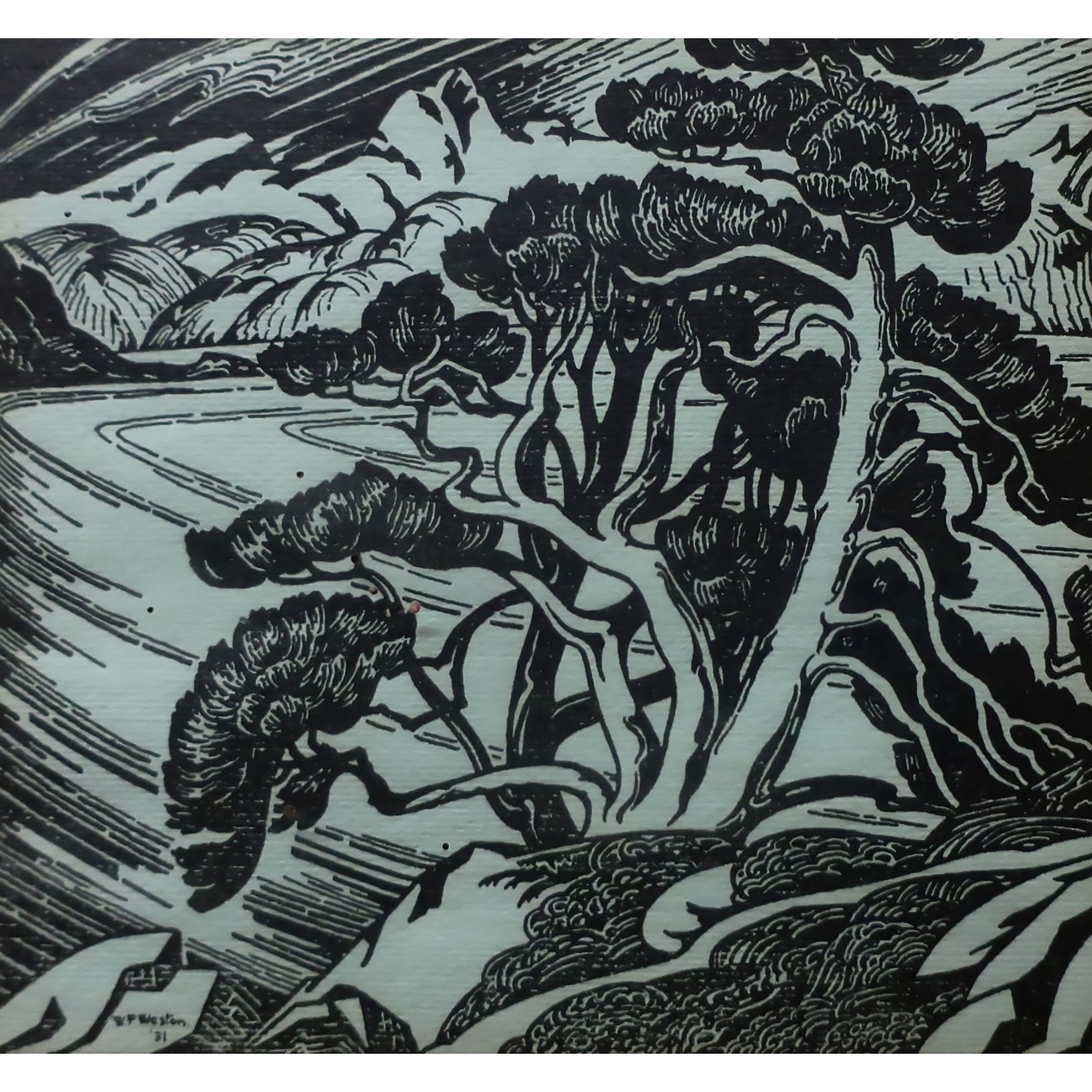 William Percival Weston | TWISTED PINES | MutualArt