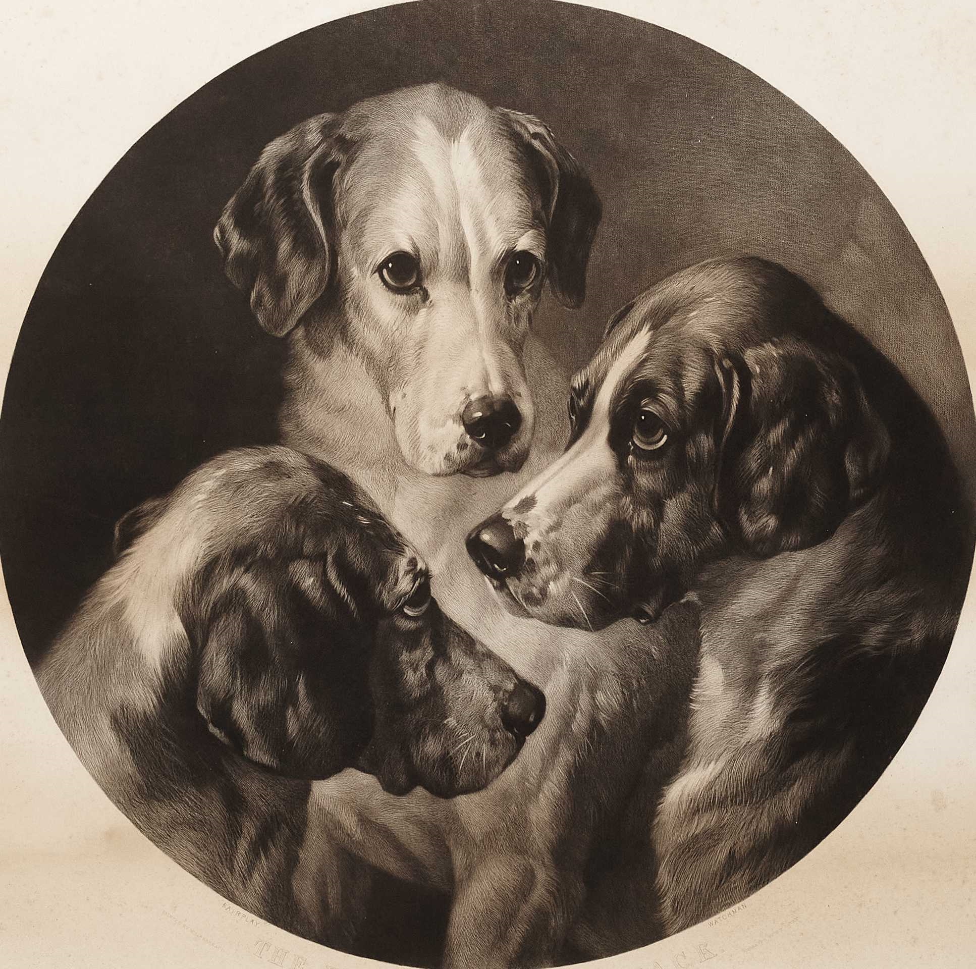 William Barraud | The fathers of the pack (after William Barraud ...