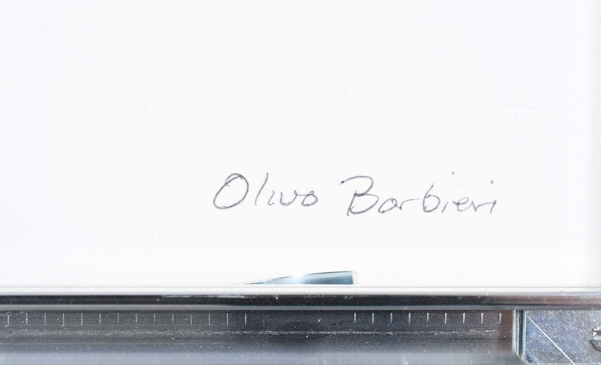 Olivo Barbieri | The Waterfall Project (2007) | MutualArt