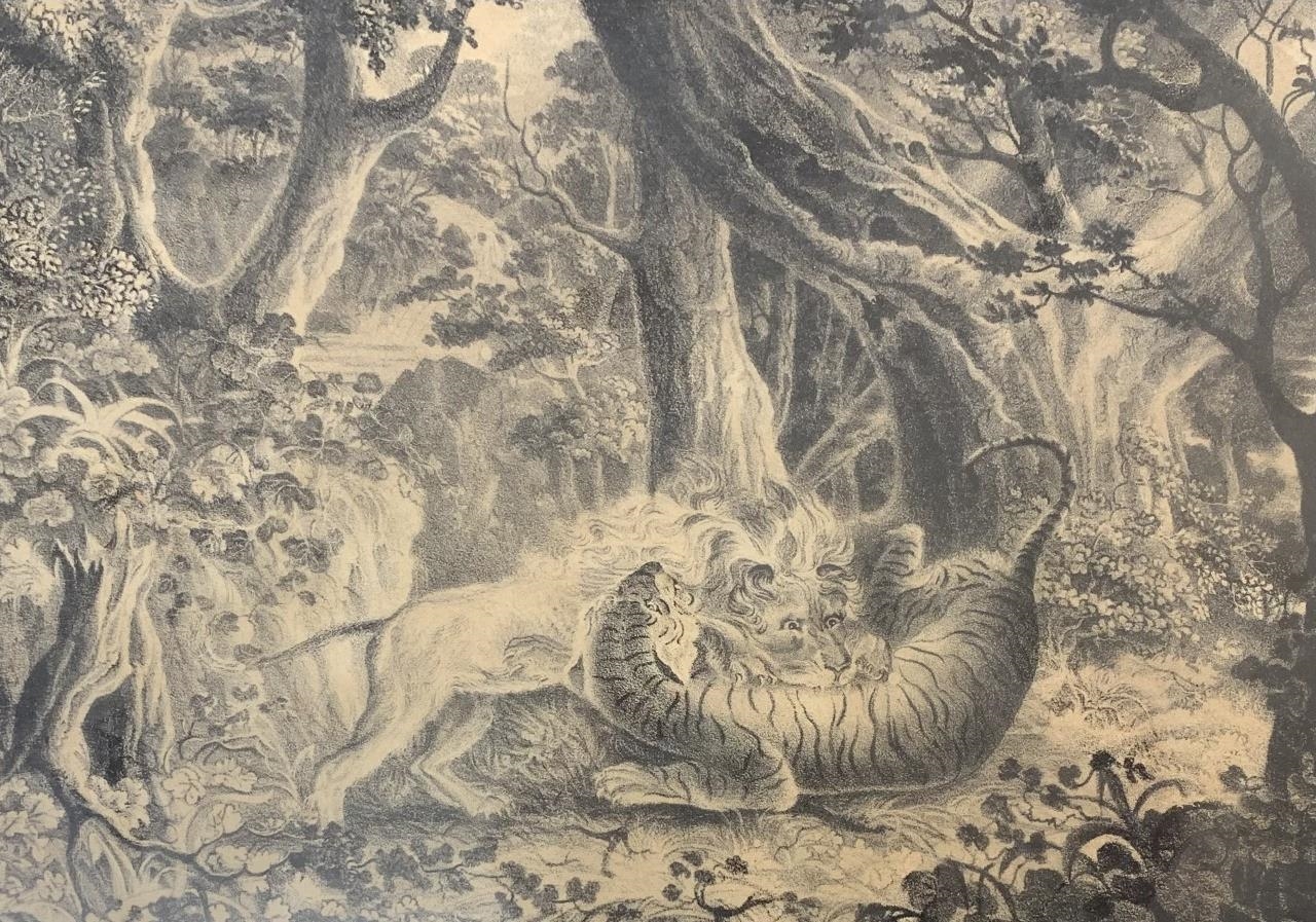 George Stubbs | Lion and Tiger in battle | MutualArt