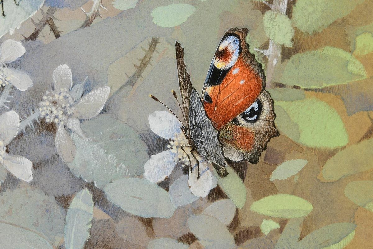 Gordon Beningfield | Peacock Butterflies | MutualArt