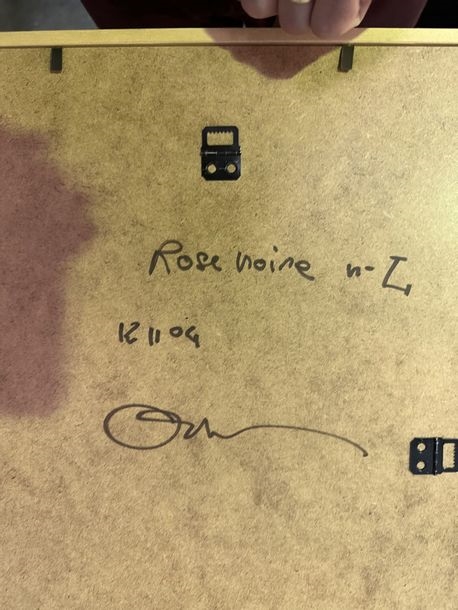 Olivier Mattei | Black rose, 2004 (2004) | MutualArt