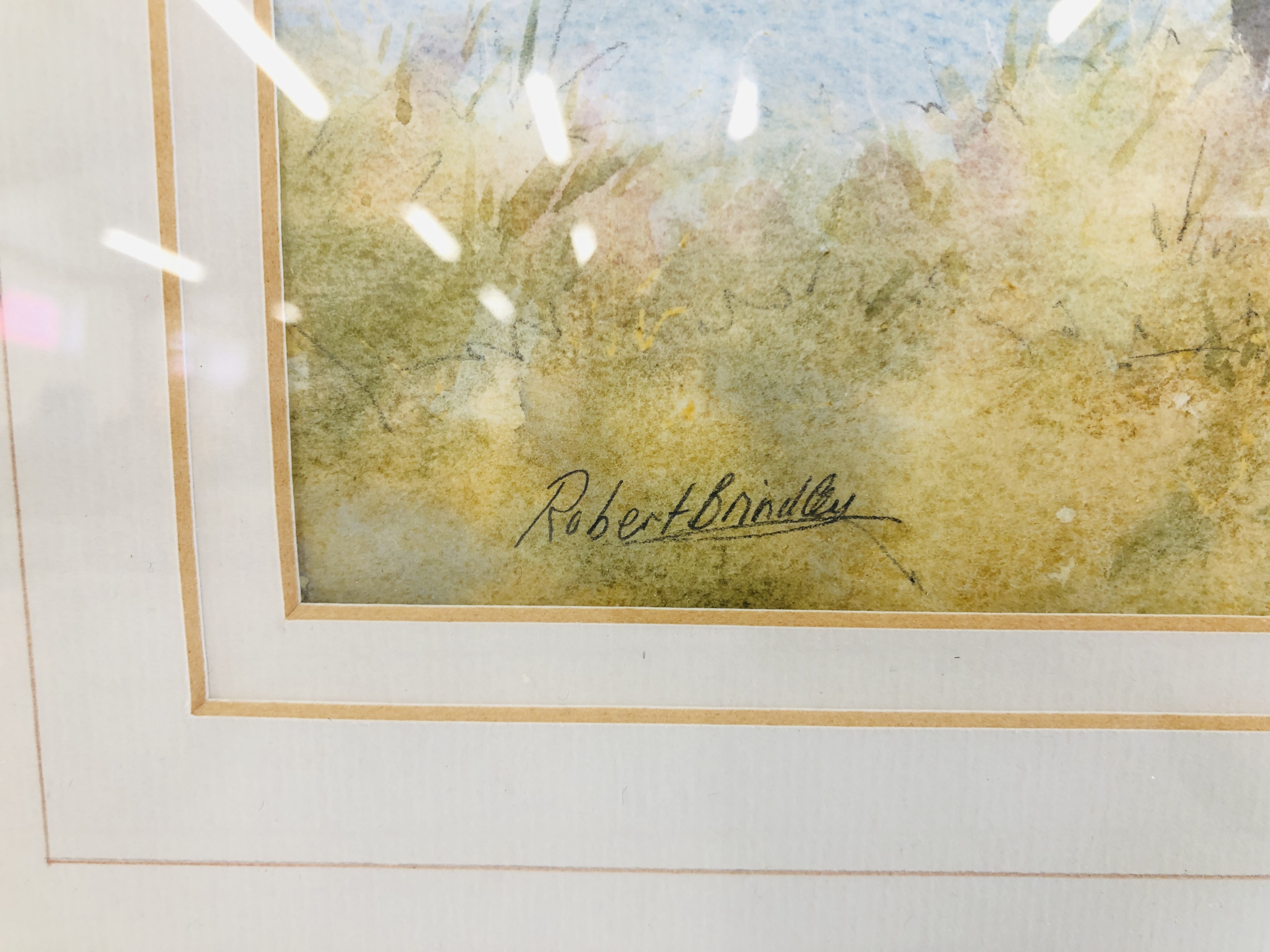 Robert Brindley | SMOKE AND LIGHT | MutualArt